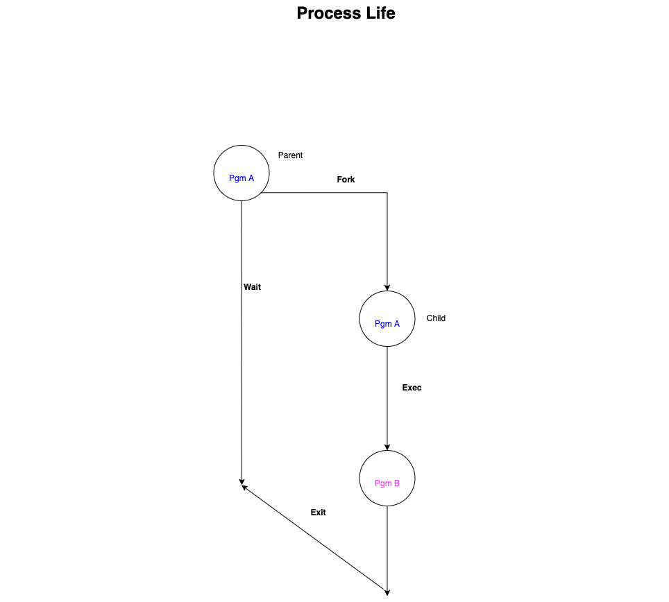 Linux Process Lifecycle Nitin s Pages linux-process-lifecycle-nitin-s-pages